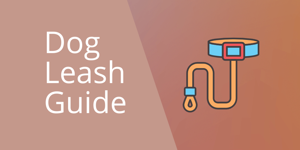 4 Best Types of Dog Leashes: Ultimate Leash Guide - Feruo